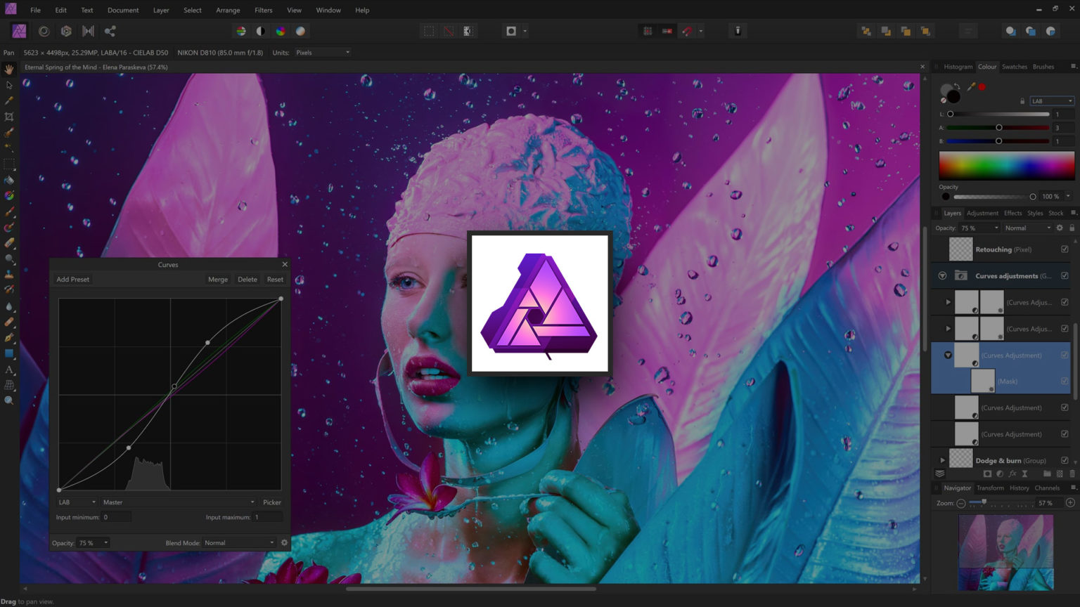 Best Creator Tools – The Best of Everything For Content Creators – TAGLINE